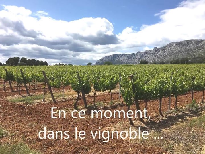 - Les Vignerons du Mont Sainte-Victoire
